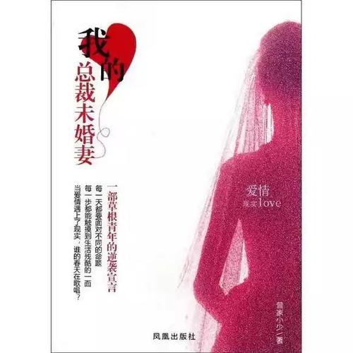 我的总裁未婚妻图标