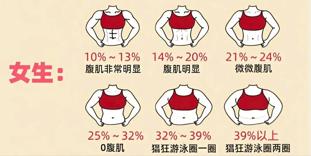 小米体重秤可以测体脂率吗图标