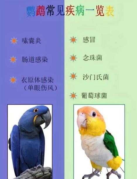鹦鹉发抖的解决方法图标