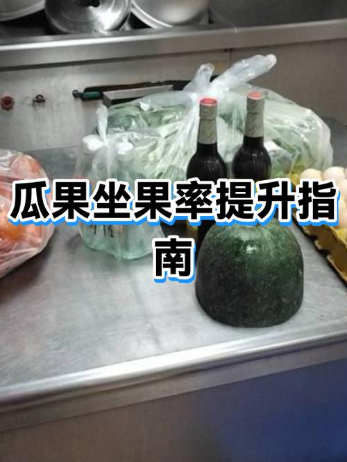 如何提高黄瓜坐果率