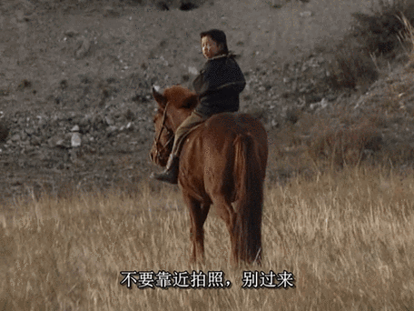 马鞍在马背上往前滑怎么办图标