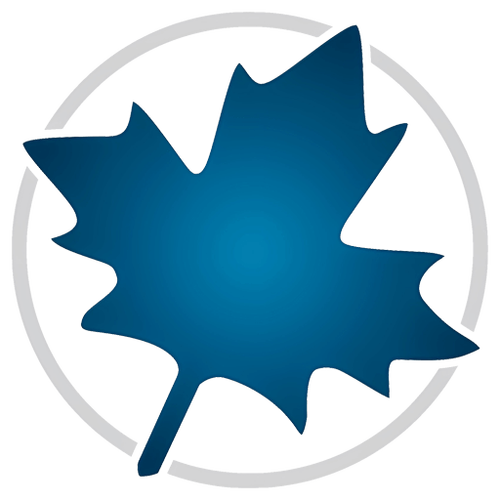 maple数学软件图标