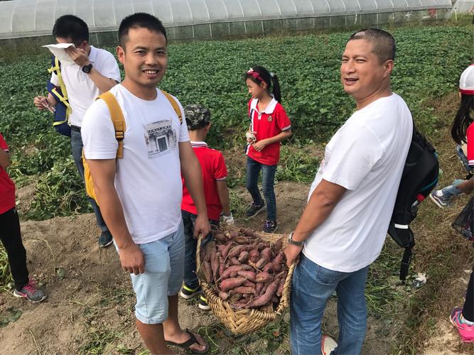 番薯小组改名成啥了
