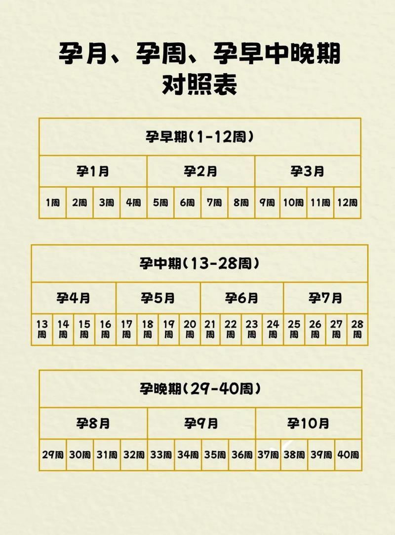 几周目是什么意思图标
