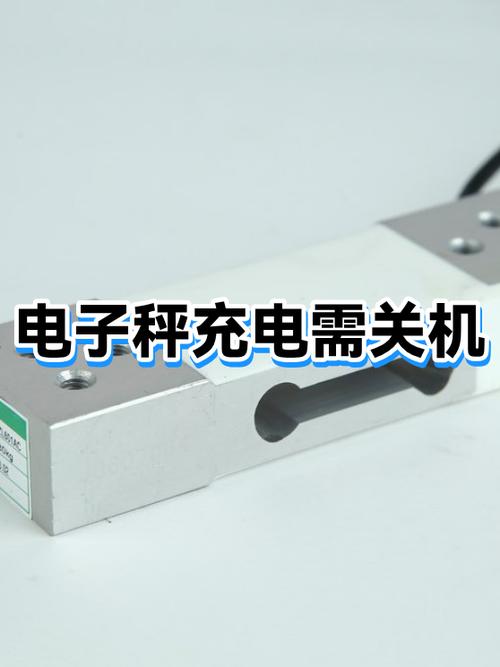 电子秤充电要关机吗图标