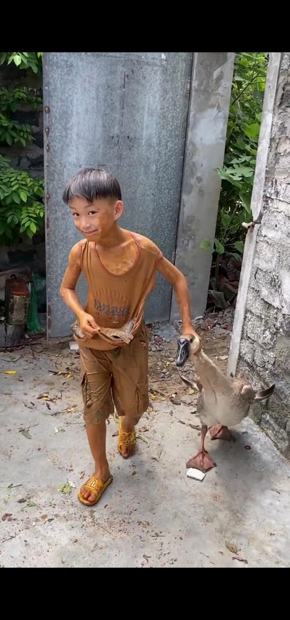 一个小孩抓大鹅图标