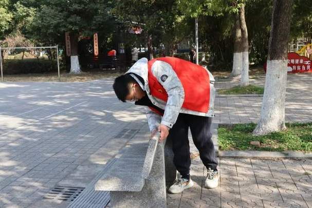 高三社会实践10个例子图标