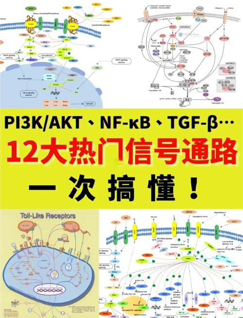 谜境信号第三章攻略图解截图