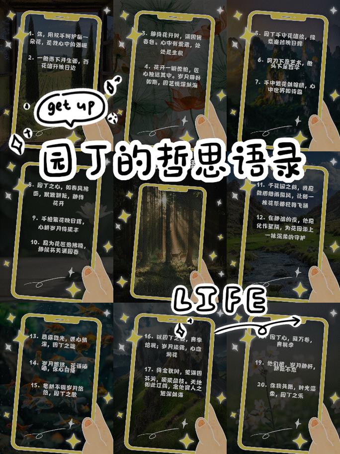 上古卷轴5人类园丁攻略图标