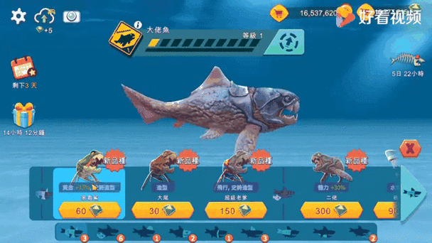 饥饿鲨进化大白鲨多少钱截图