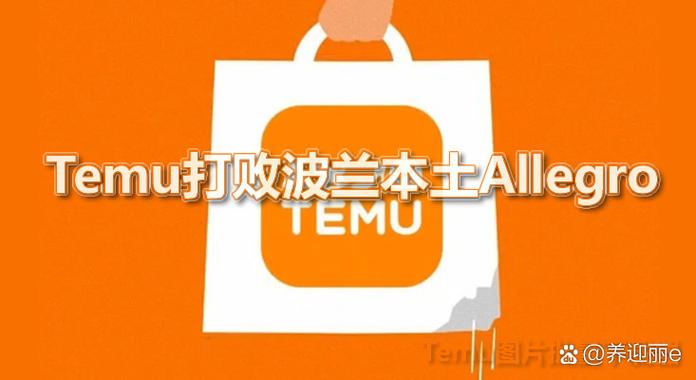 拼多多海外版temu怎么下载截图