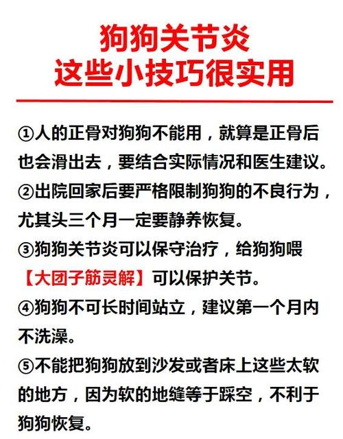狗狗腿瘸了能自愈吗图标