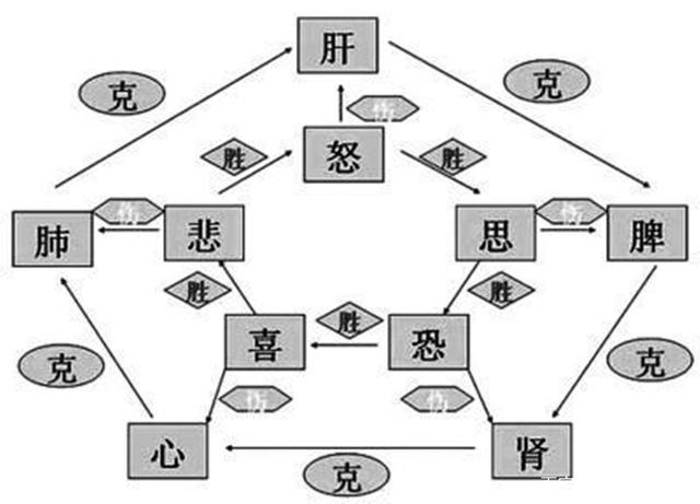 什么叫七情六欲截图