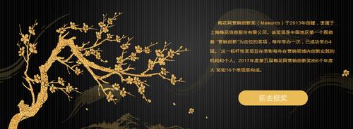 中国梅花网图标