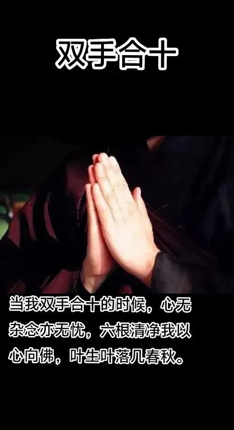 对别人双手合十是什么意思截图