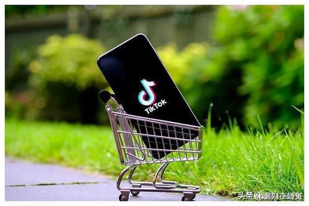 TikTok 绿色图标