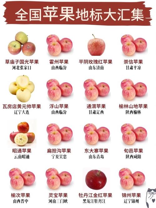 苹果六换屏数据会丢失吗图标