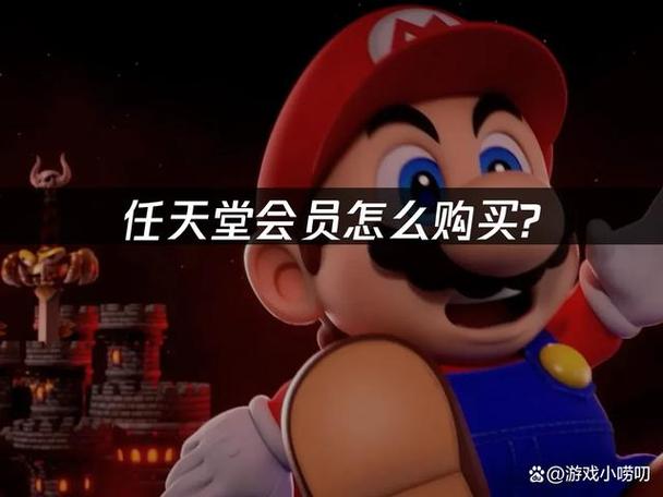 switch一年会员多少钱图标
