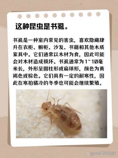 工作桌上一老有虫图标