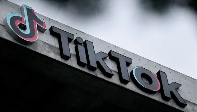 安卓如何下载国际版tiktok图标
