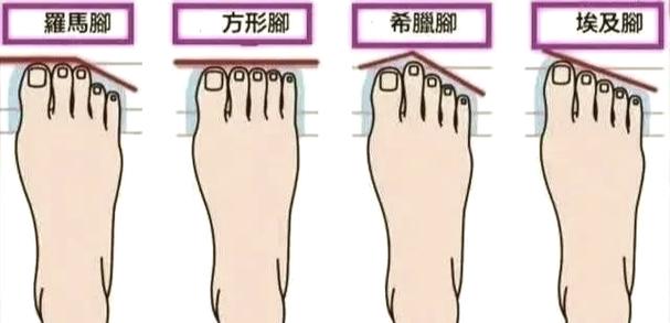 莲足是什么意思图标