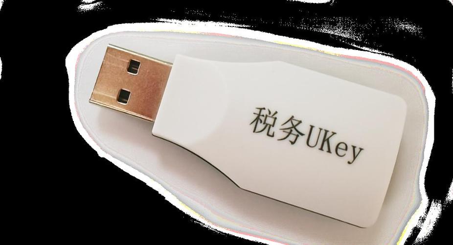 税务ukey是什么图标