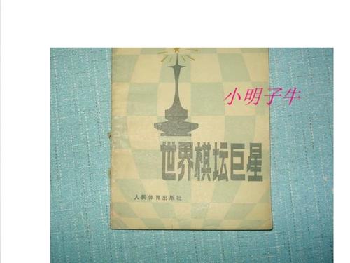免费下载国际象棋单机版图标