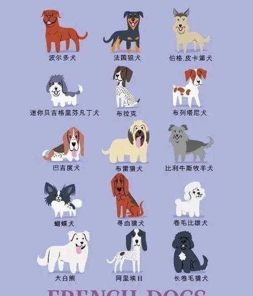 犬种类大全图片及名称图标