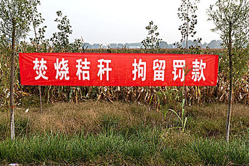 禁烧秸秆宣传标语图标