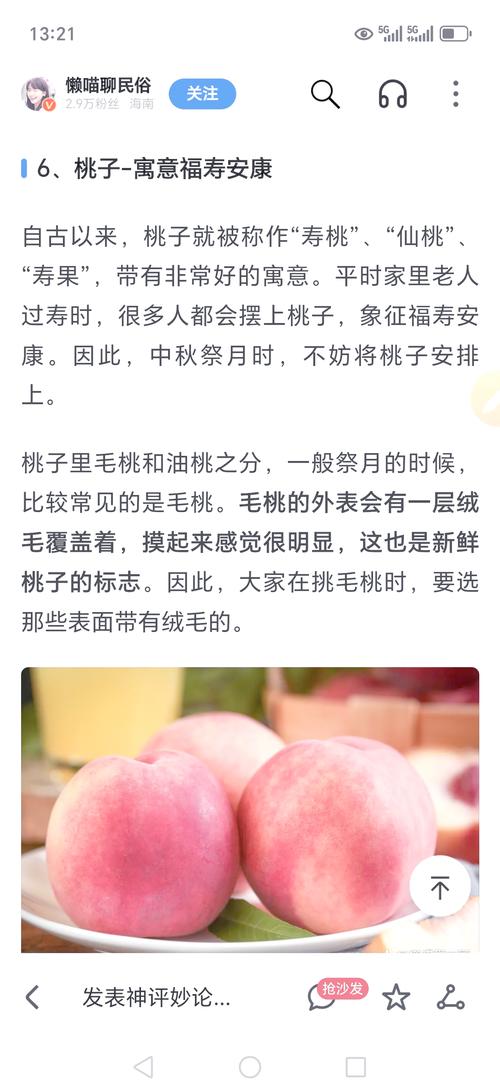 同志圈里桃子代表什么图标