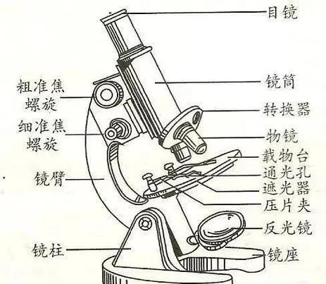 显微镜的使用方法步骤及注意事项图标