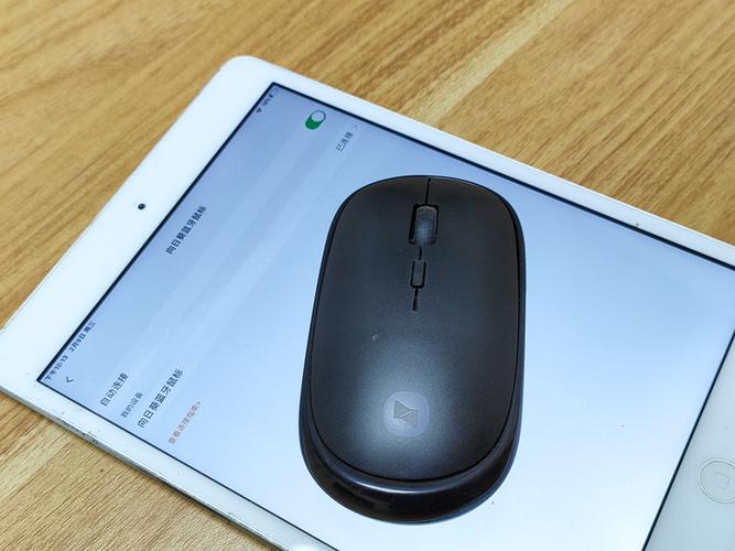 ipad7可以用蓝牙鼠标吗图标