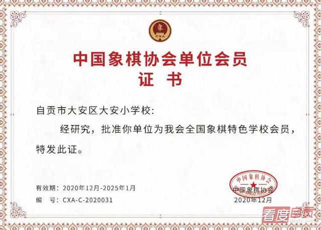 中国象棋协会等级证书查询图标