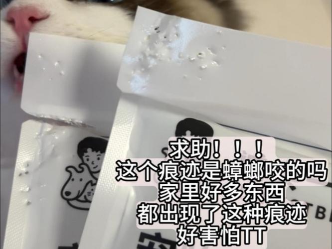 蟑螂咬袋子的形状图片图标