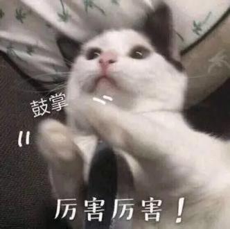 太厉害了表情包图标