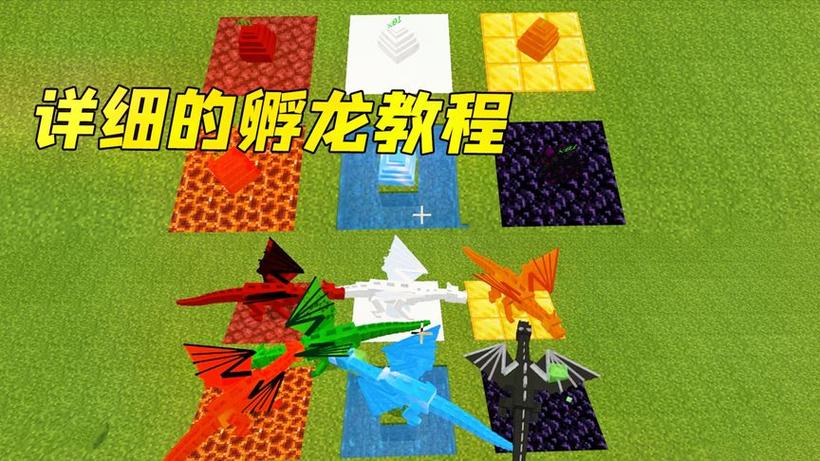 我的世界龙孵出来后要怎么驯化截图
