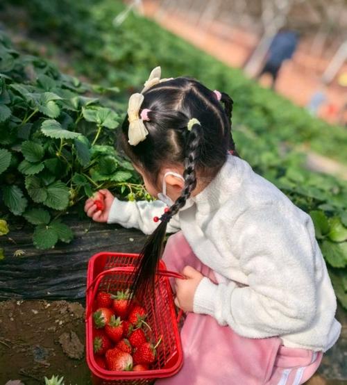 摘草莓图片真实图标