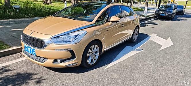 ds5汽车属于什么档次图标