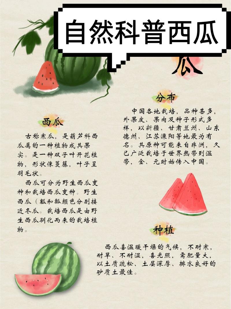 西瓜有什么特点图标