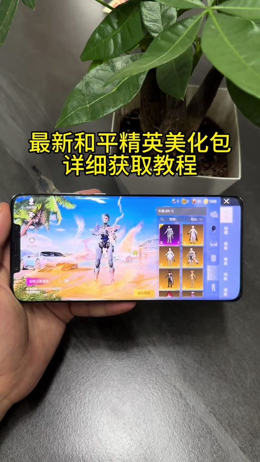 米国美化包截图