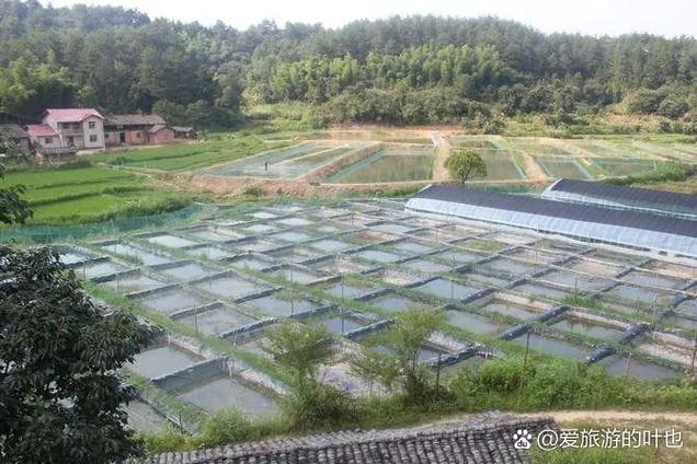 农村养殖致富图标
