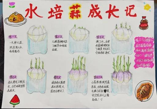 蒜我神奇图标