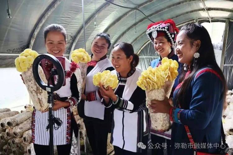 弥勒新闻视频图标