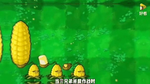 植物大战僵尸玉米三兄弟图标