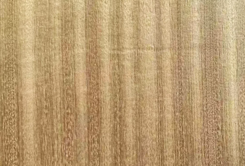 云杉木板图片截图