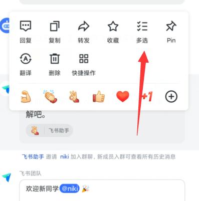 飞书上可以随便聊天吗图标