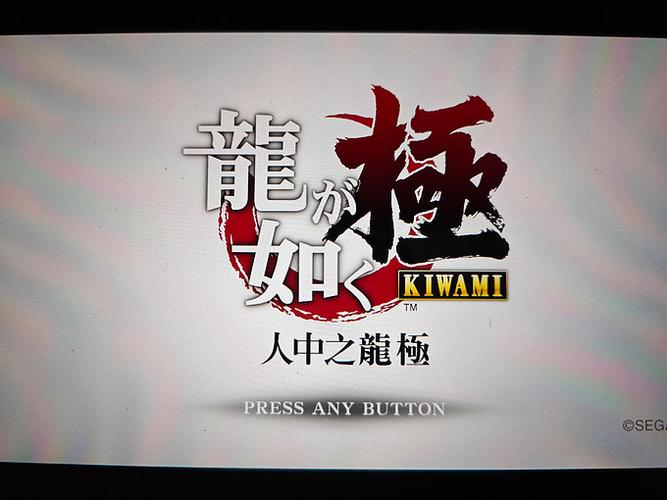 如龙极如何调中文图标