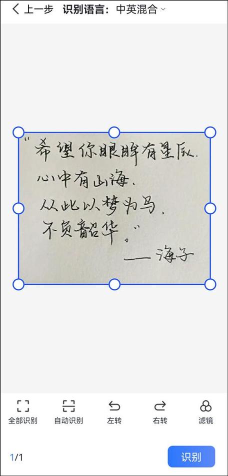 手写文字识别图标