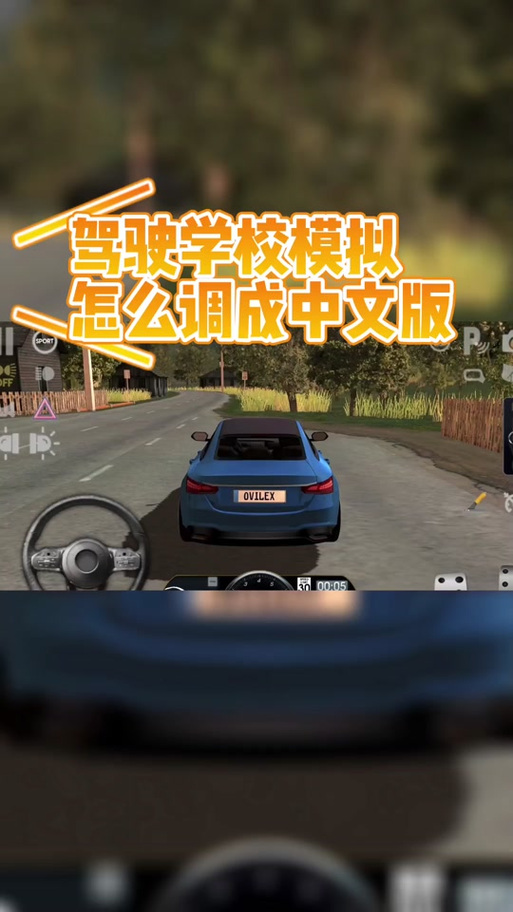 手部模拟器怎么设置中文截图