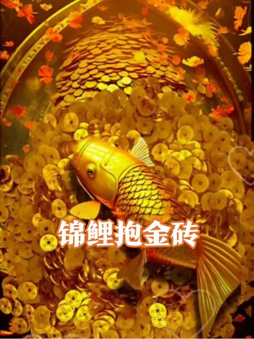 攒钱锦鲤多久合成分红锦鲤图标